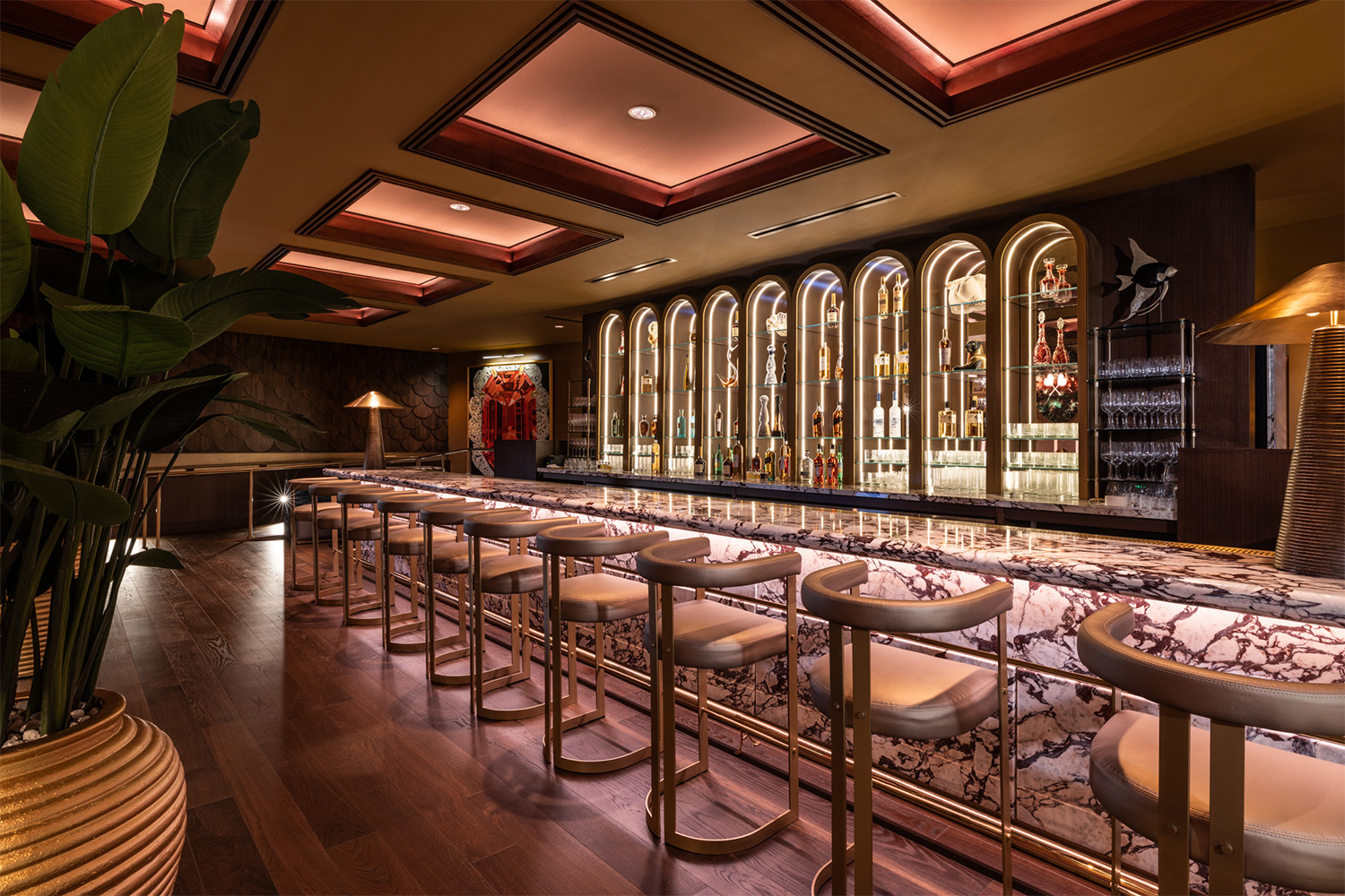 Queen Miami Beach: A Must on Your Miami Bucket List - Opustone